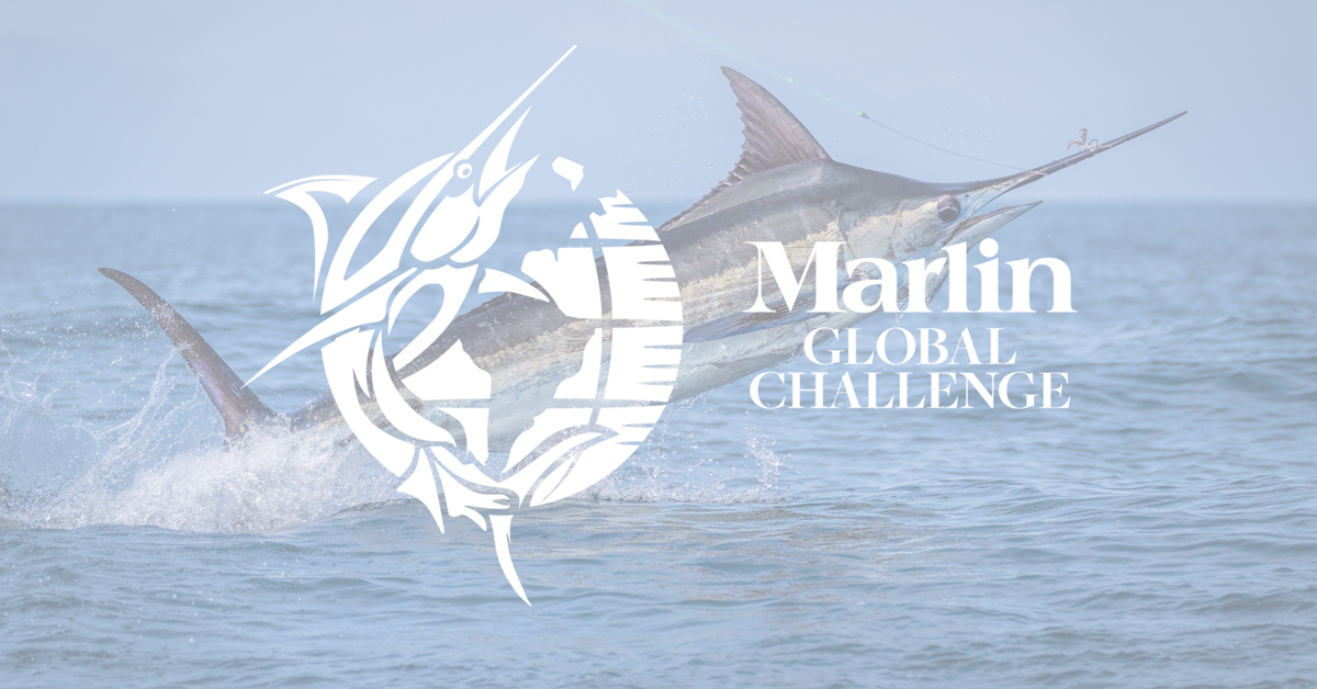 Marlin Global Challenge