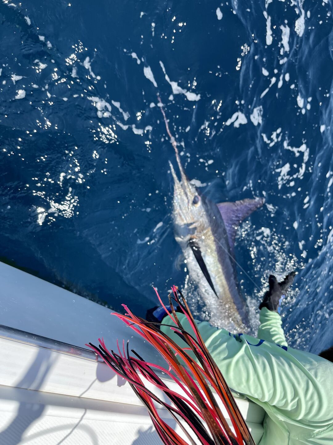 Bisbee Fishing Tournaments