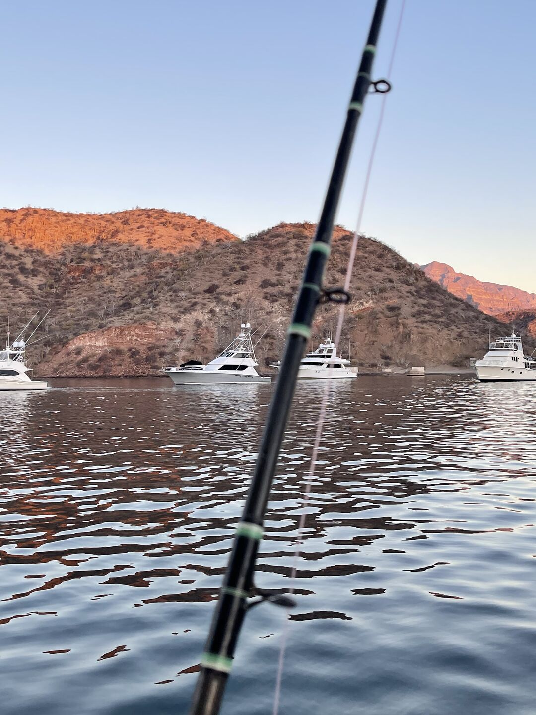 Bisbee Fishing Tournaments