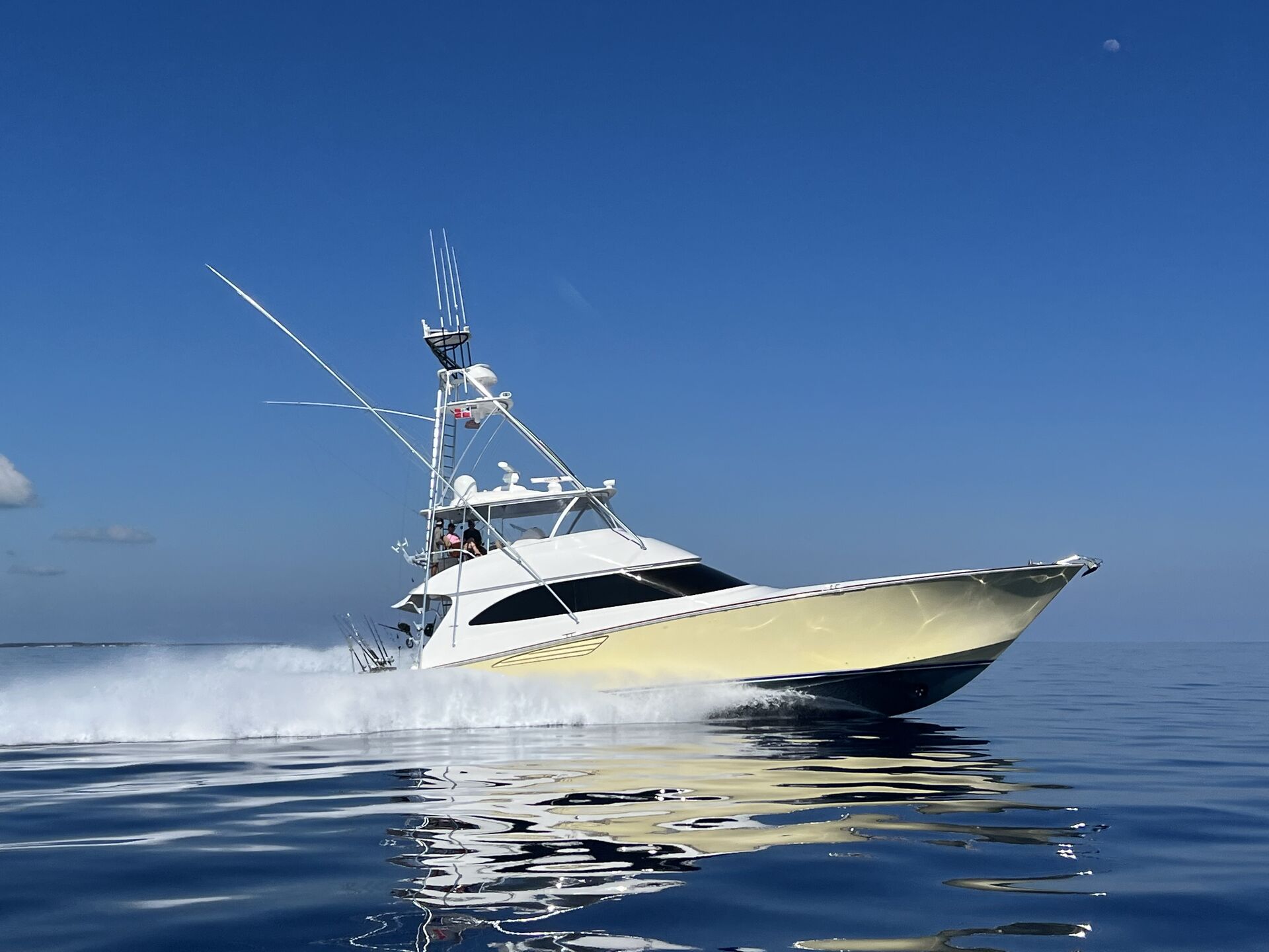Blue Marlin Grand Championship