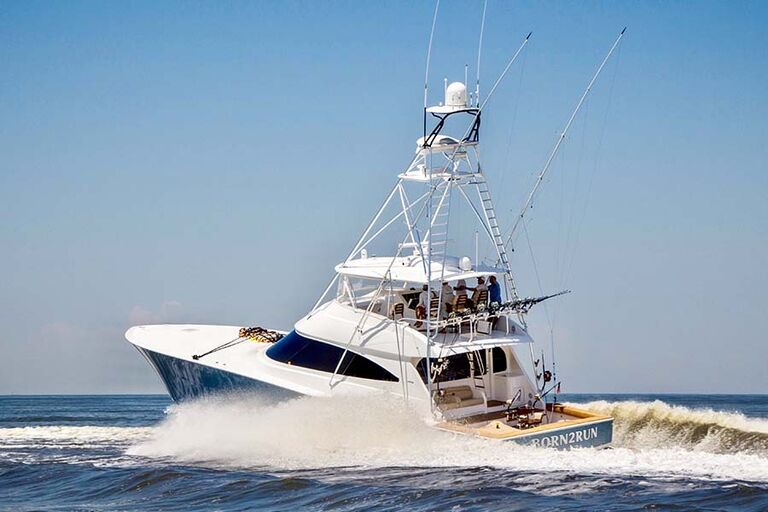 Bay Point Billfish Open